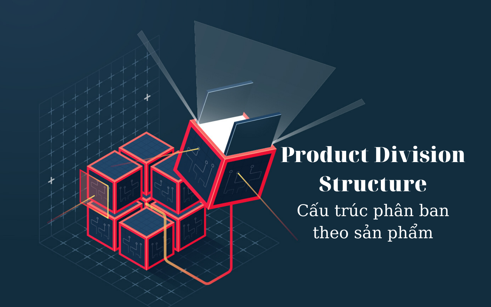 Cấu trúc phân ban theo sản phẩm (Product Division Structure) là gì ...